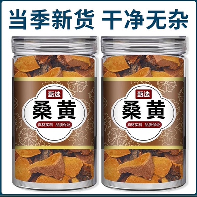 正宗野生桑黄长白山树菌切