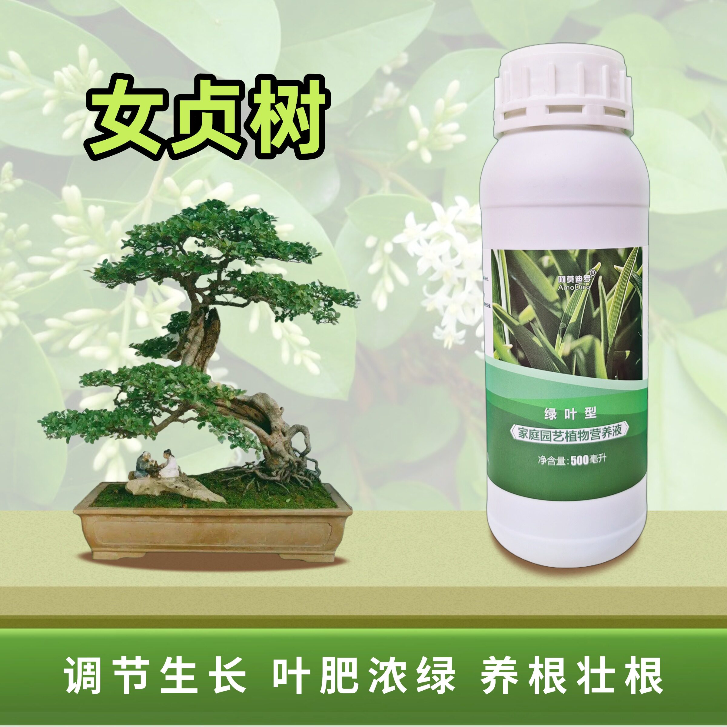 小叶女贞营养液金叶亮晶树苗棒棒糖造型树盆栽地栽专用液体肥料
