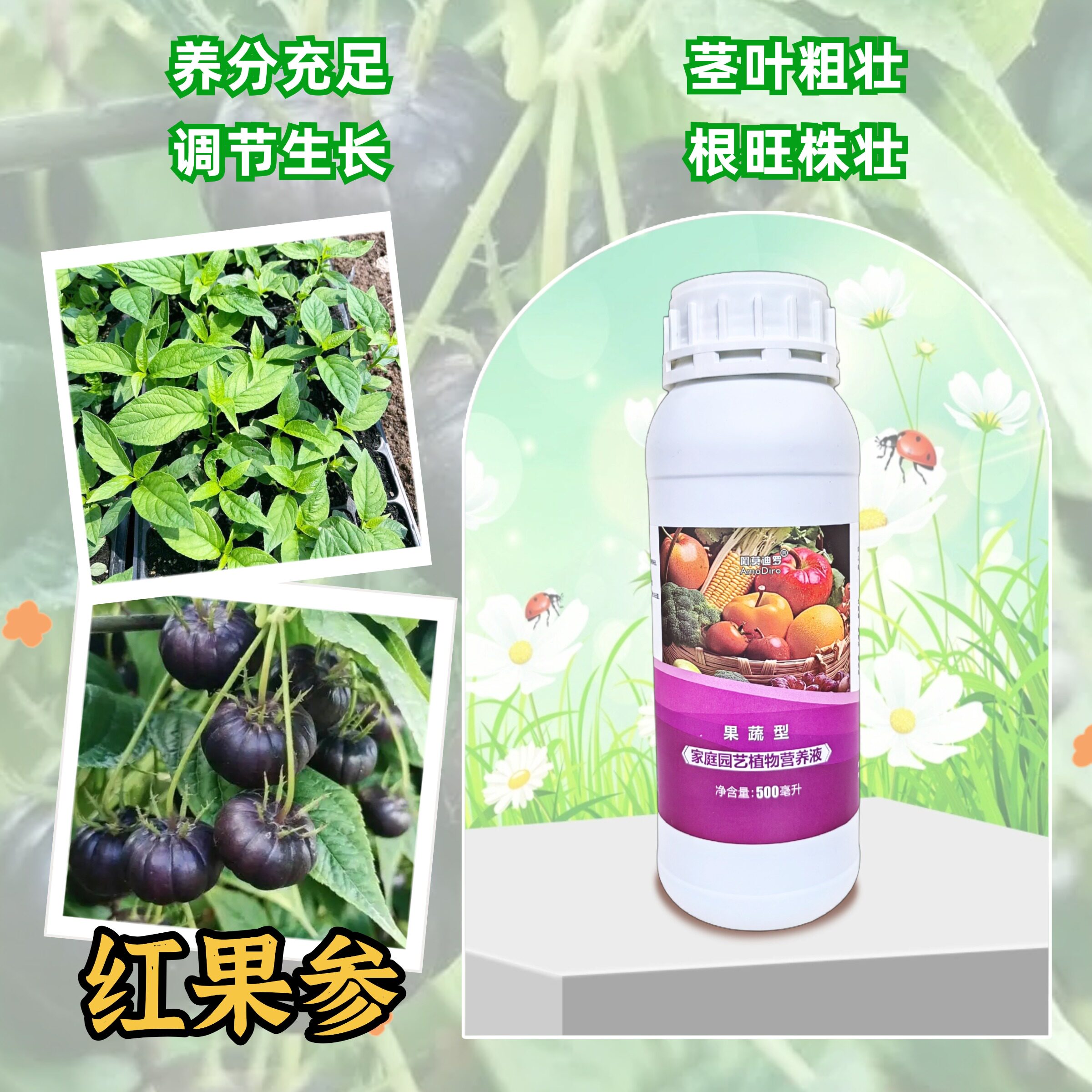 红果参蜘蛛果算盘果营养液云南盆栽地栽树苗专用复合浓缩液体肥料
