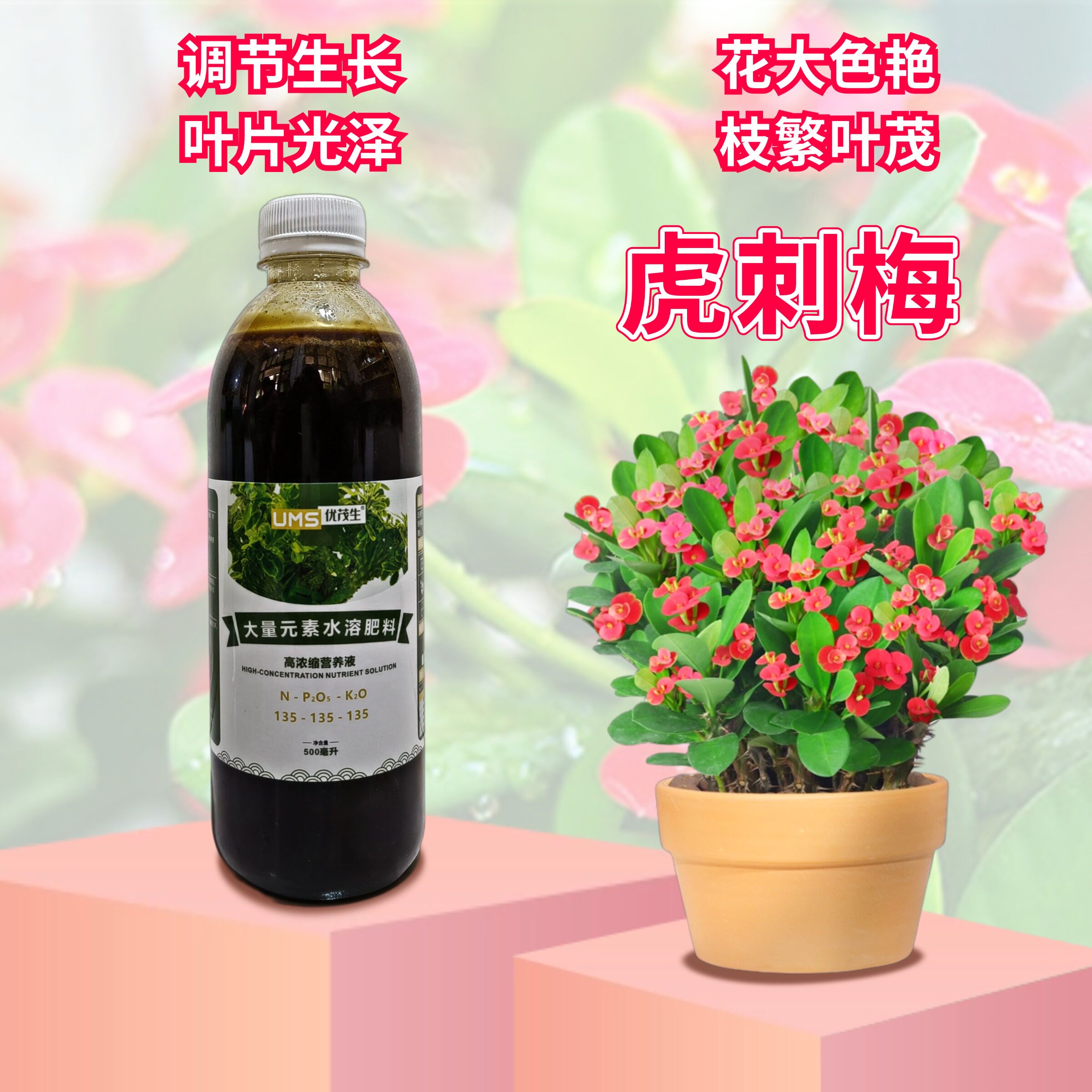 虎刺梅盆栽大花铁海棠麒麟刺营养液大小叶老桩植物专用水溶花肥料