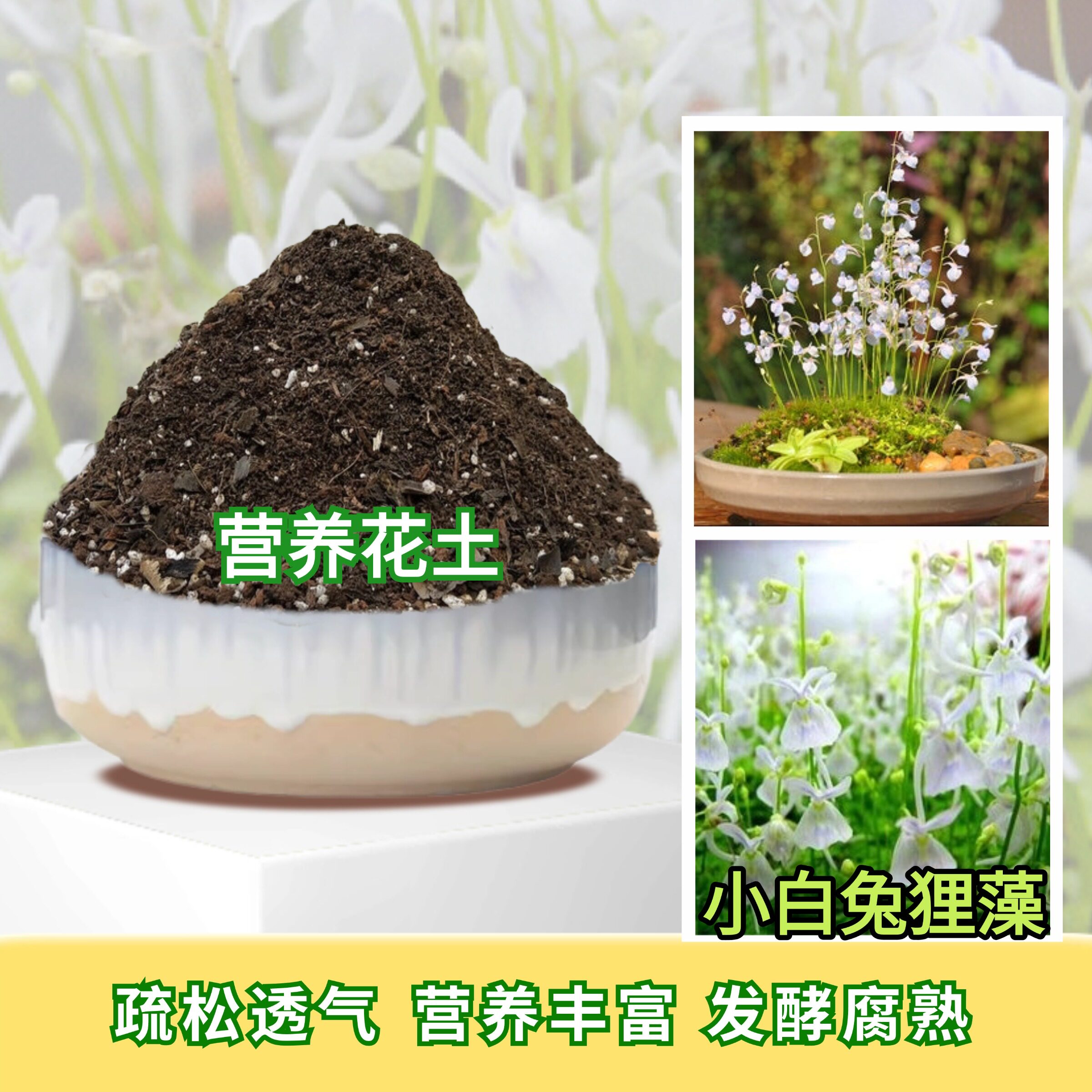 小白兔狸藻营养花土小蓝兔禾叶黄花丝叶食虫绿植物专用育苗种植土