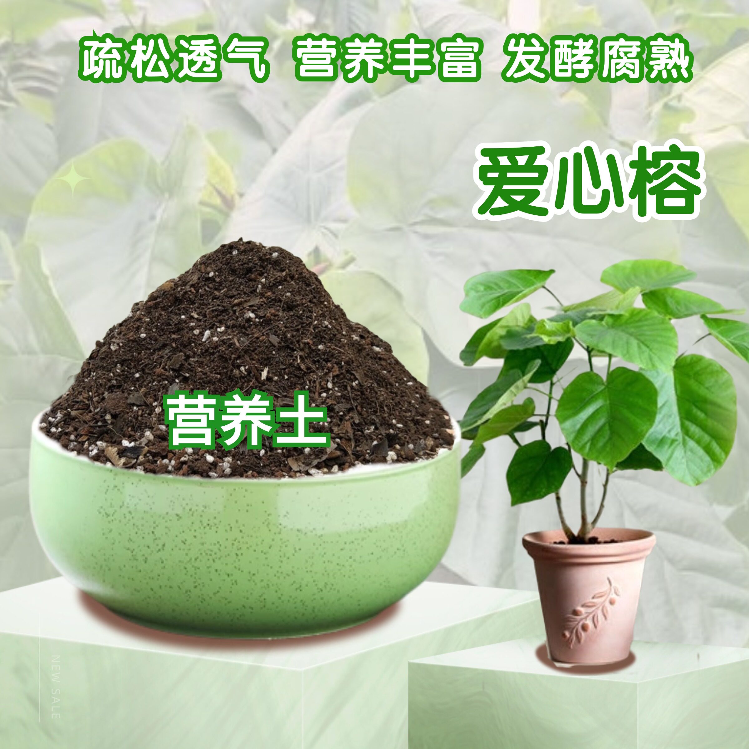 爱心榕心叶榕伞榕营养花土疏松肥沃室内绿植专用扦插盆栽种植土