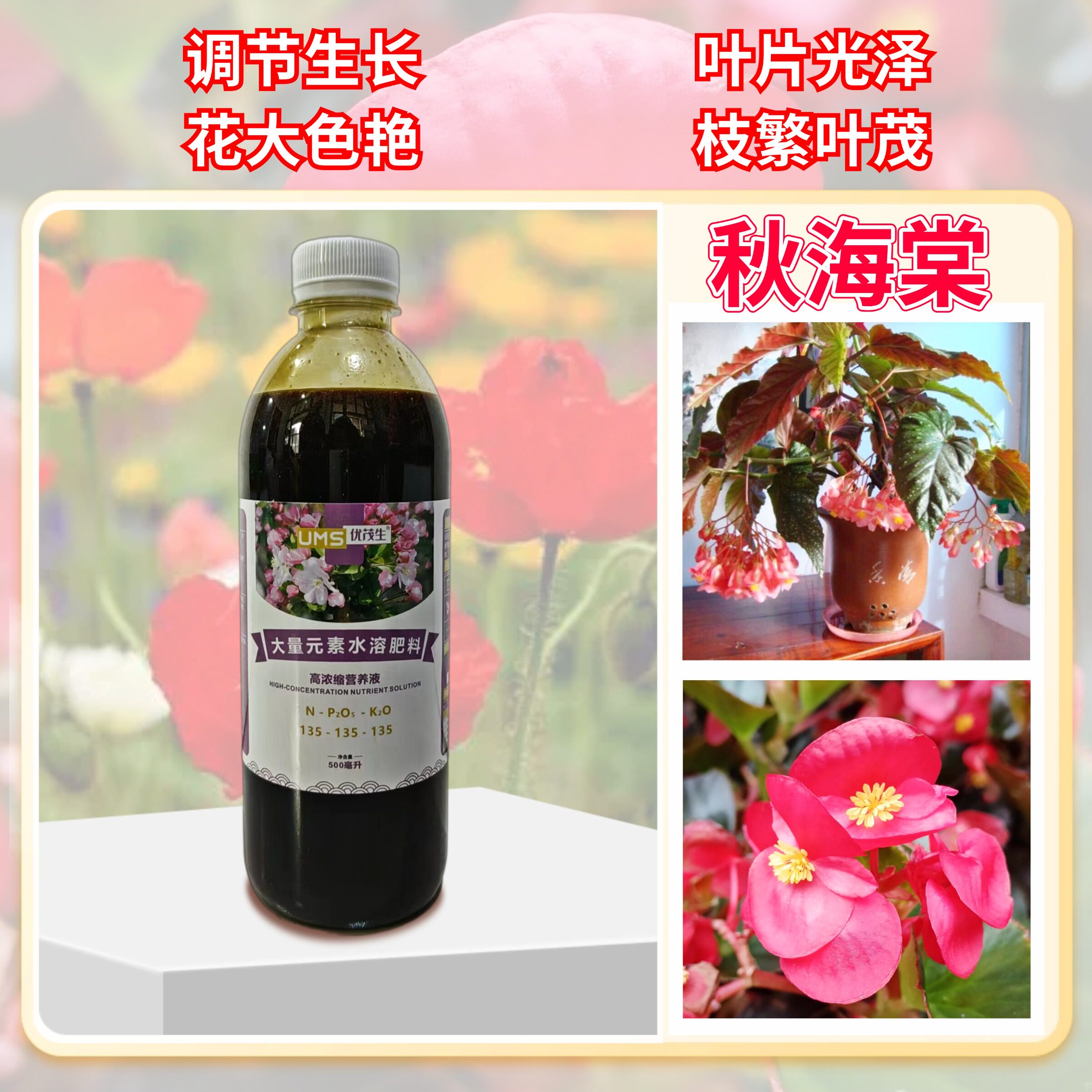 秋海棠营养液鳟鱼福寿蜗牛竹节乌头杂白冰粉旗鱼盆栽专用水溶肥料
