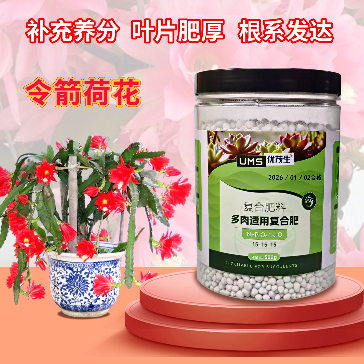 令箭荷花复合肥阳台进口大花重瓣花苗盆栽老桩多肉植物专用肥料