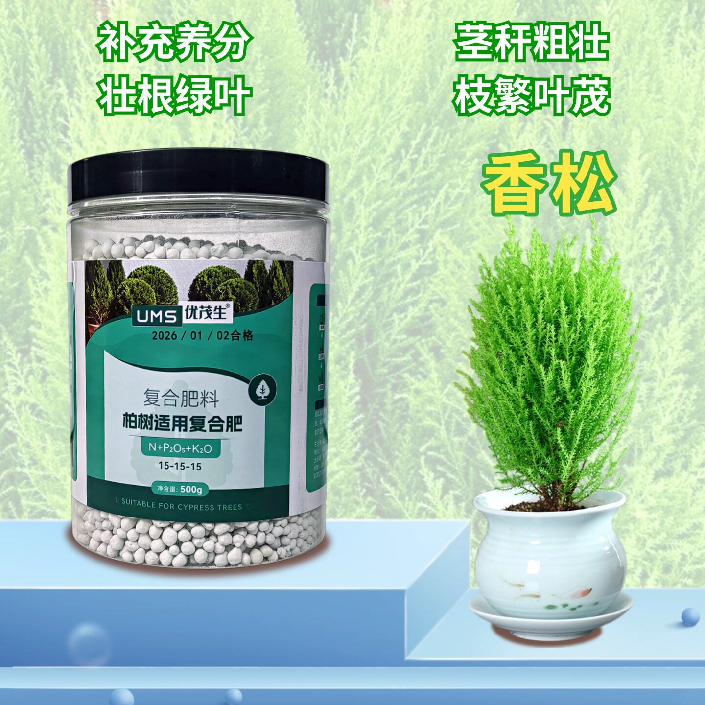 甘松香松金冠柏复合肥室内小盆栽绿植物专用氮磷钾肥料