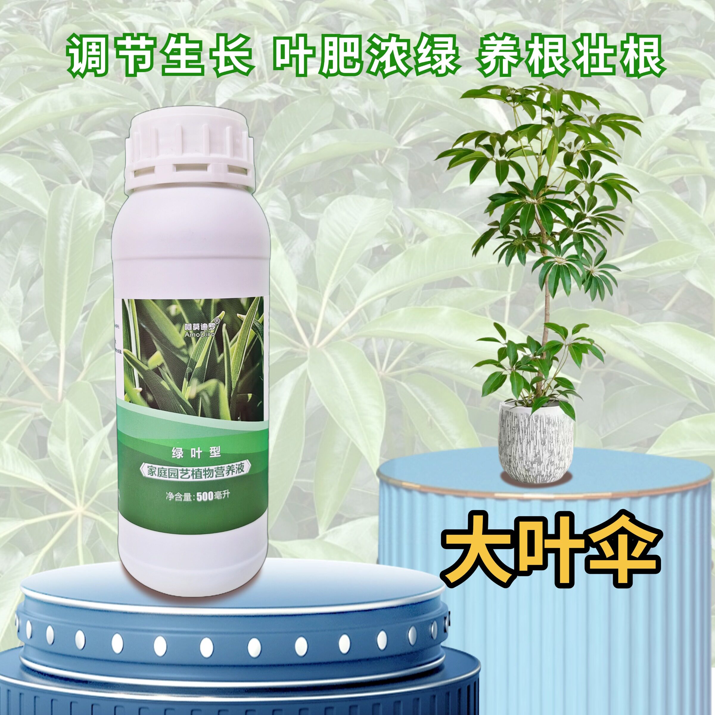 大叶伞营养液室内专用日本保罗盆栽老桩绿植物肥料