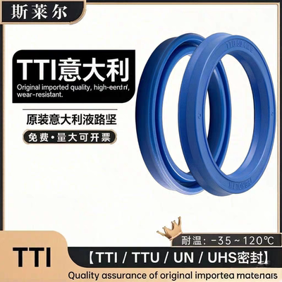 进口意大利TTI/TTU液路坚TECNOLAN防尘圈PW密封53*63*6