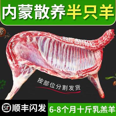 10斤散养羔羊肉【顺丰闪送】