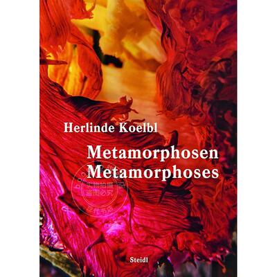 预售 赫琳德 科尔布尔 蜕变 艺术画册 英文原版 Herlinde Koelbl: Metamorphoses