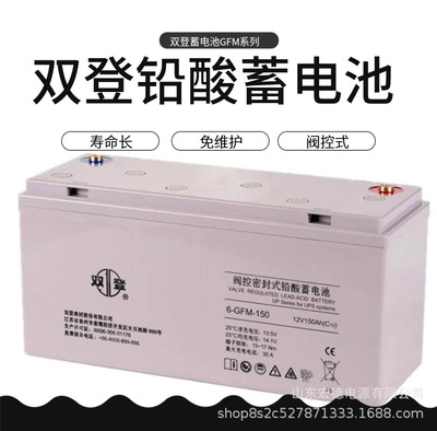 双登蓄电池12V100AH 双登6-GFM-100蓄电池 电瓶 质保三年