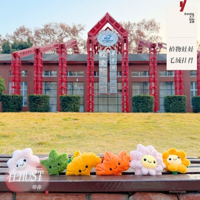 HUST华科穿衣毛绒玩具玩偶小熊公仔包包挂件华中科技大学[正品]
