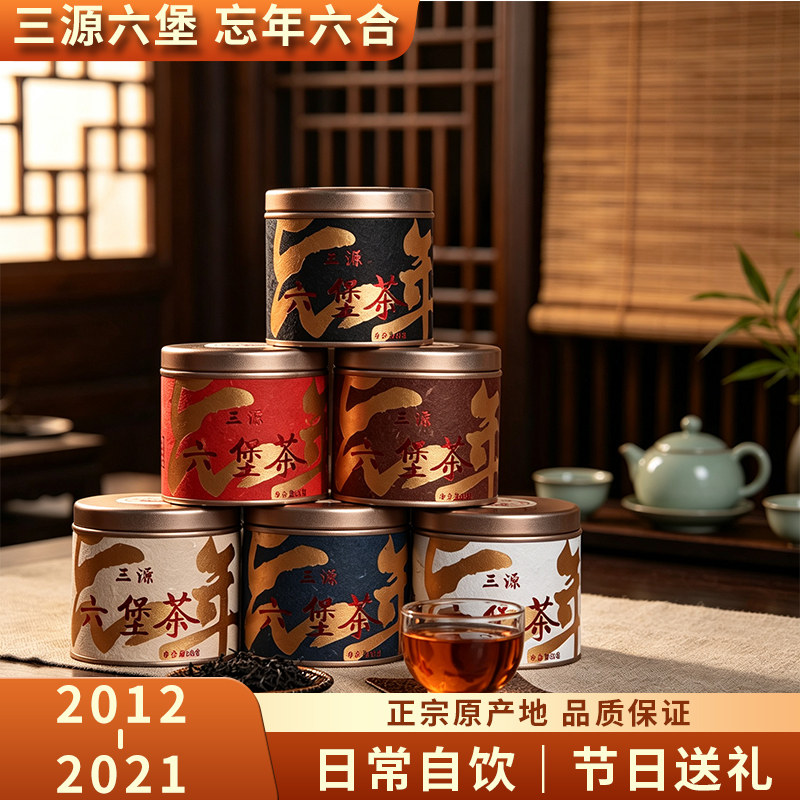 [三源六堡 忘年六合]2012-2021年春茶、秋茶 六堡茶 300g