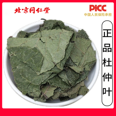 同仁堂野生无硫杜仲叶茶500g