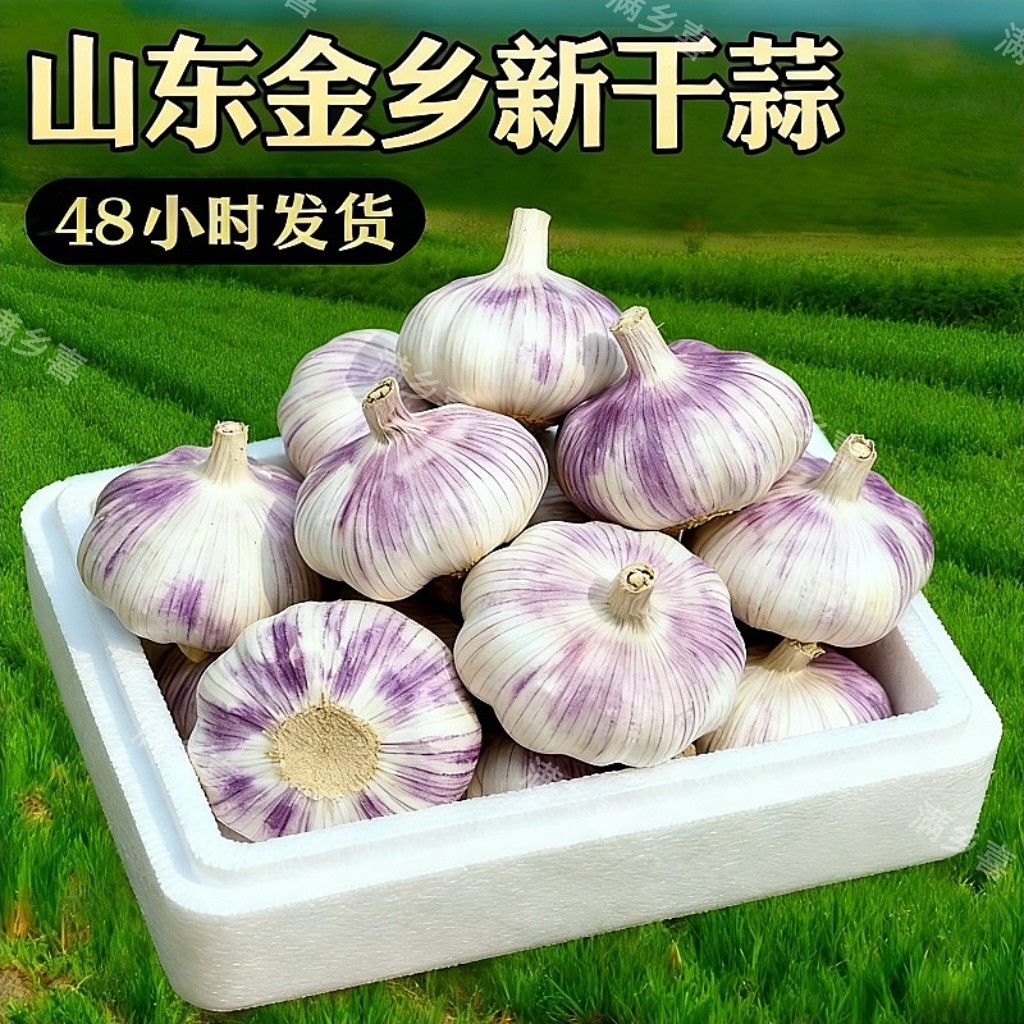 【天天批发价】金乡紫皮大蒜头干蒜新鲜红皮大蒜整箱优质农家批发