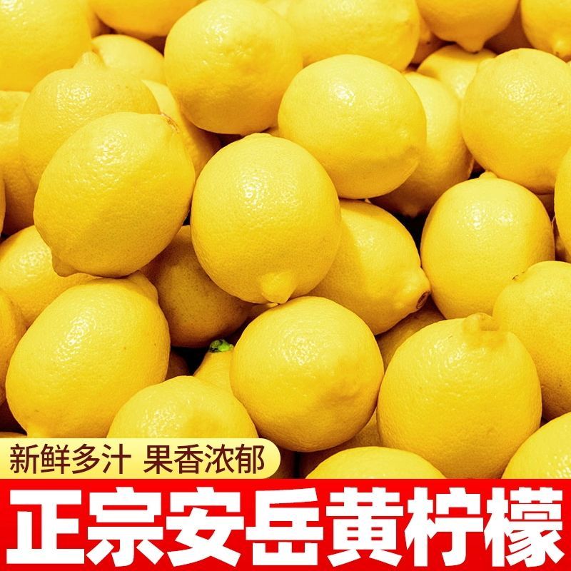 安岳新鲜黄柠檬一级薄皮商用四川青柠檬薄皮奶茶店专用水果
