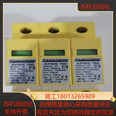 德国雷顿／leutron防雷器 浪涌保护器  epwe750