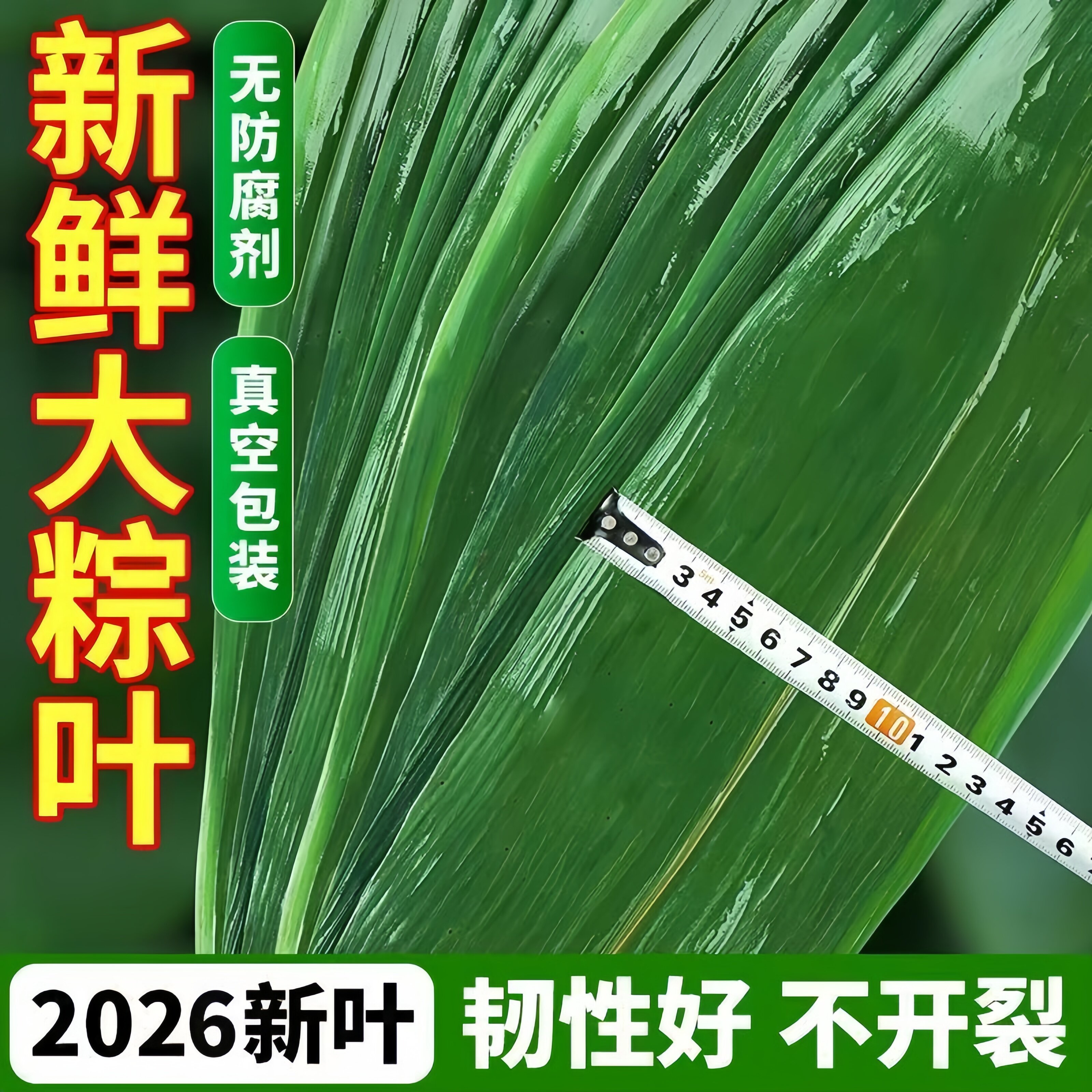 粽叶新鲜粽子叶大号老式野生干粽叶商用批发专用广西节庆备货必备