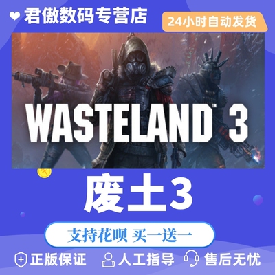 steampc正版游戏废土君傲数码