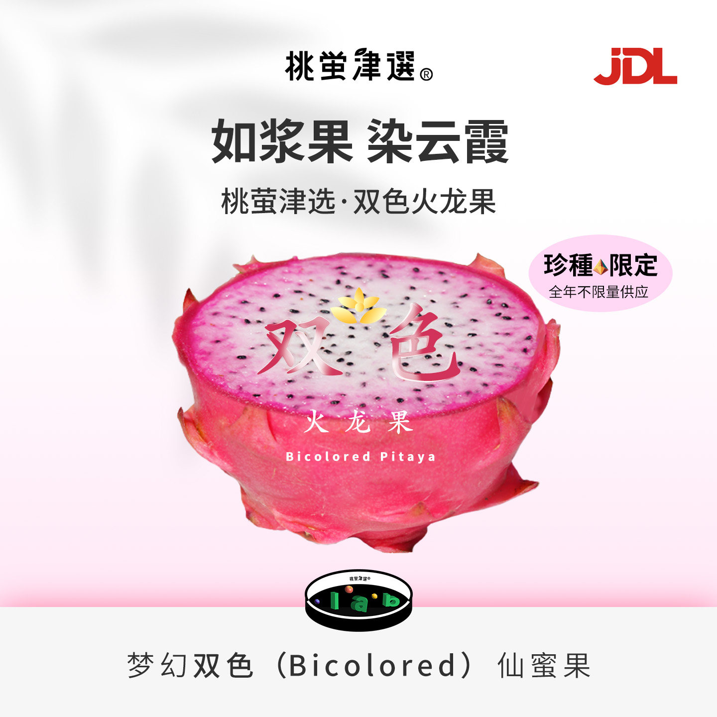 限定!桃萤津选 双色火龙果 如浆果染云霞 台引梦幻珍种 礼盒
