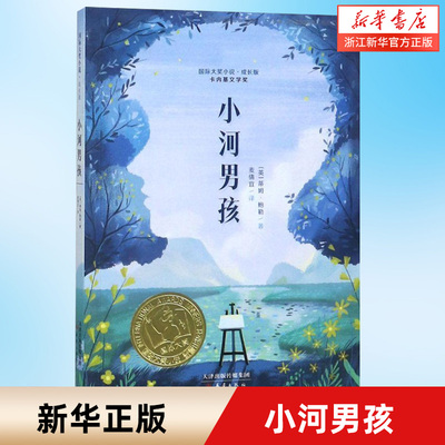 小河男孩国际大奖小说书系
