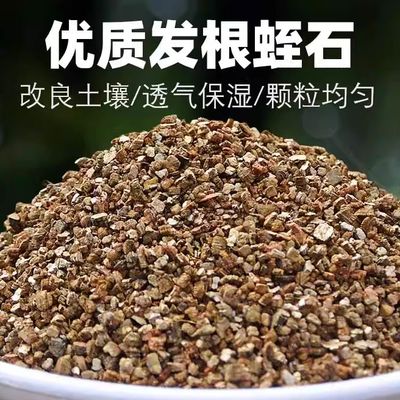 蛭石扦插用养花专用珍珠岩颗粒乌龟蛋孵化育苗基质月季扦插专用土