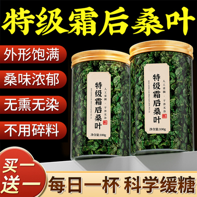 特级霜后桑叶茶养生茶