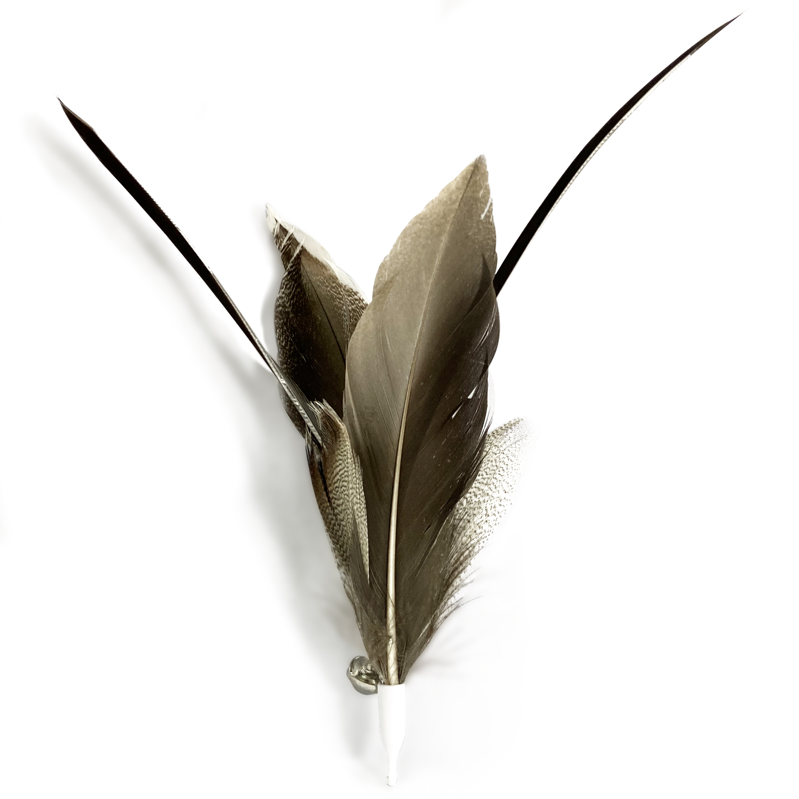 Ebo Air版专用猫咪羽毛逗猫棒套装带铃铛耐咬自嗨解闷逗猫玩具_虎窝淘