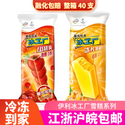 伊利山楂冰棍冰棒冰片蜜桃冷饮箱