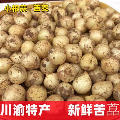 四川新鲜苦藠头团葱头薤