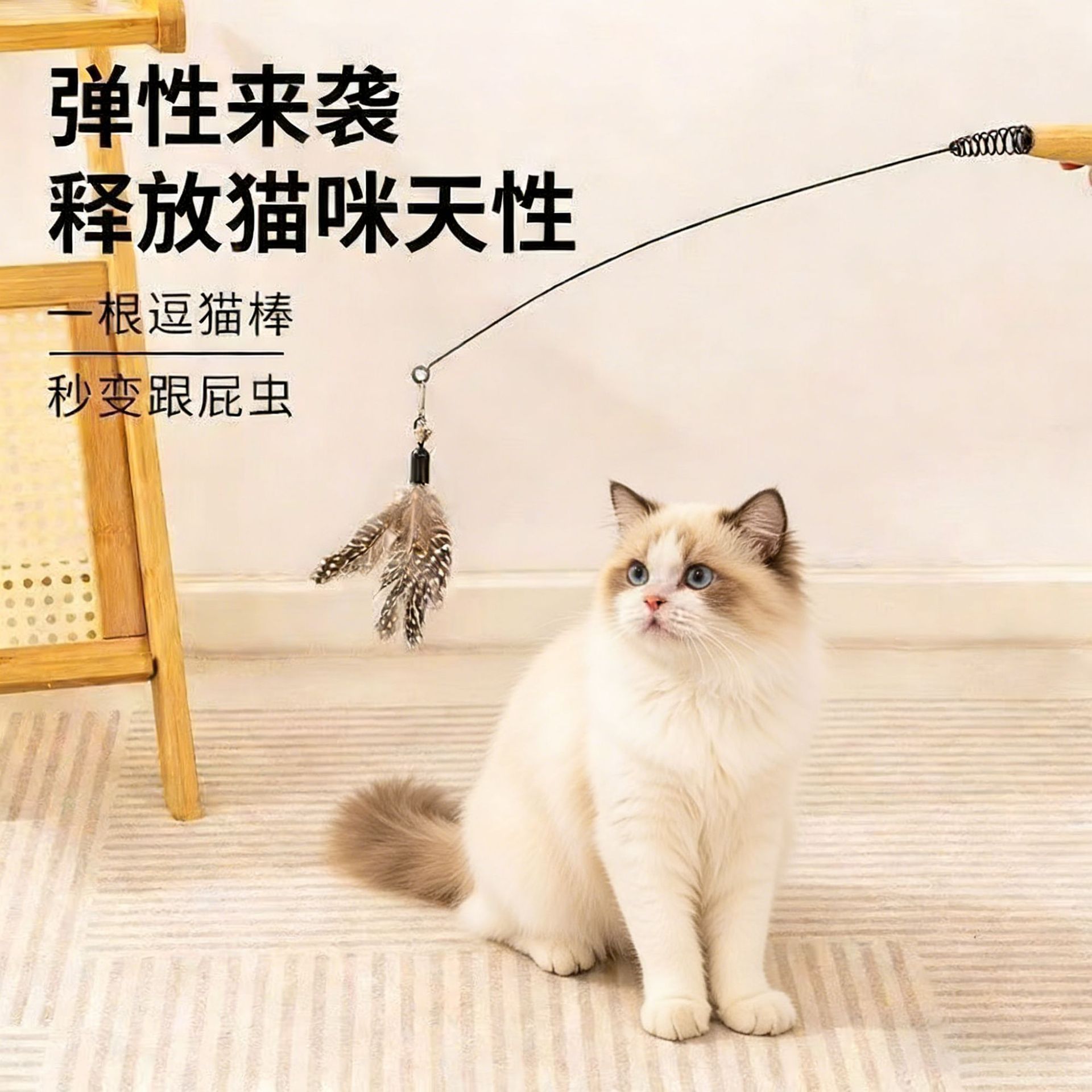 CFA赛级木柄逗猫棒羽毛铃铛可拆卸替换头猫玩具耐用耐抓宠物玩具