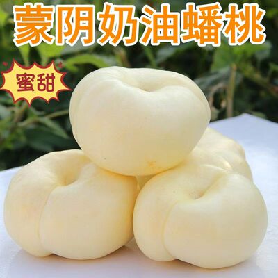 山东蒙阴奶油蟠桃白蟠桃脆甜无毛时令水果当季新鲜采摘整箱