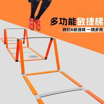 幼儿园户外敏捷梯感统训练教具