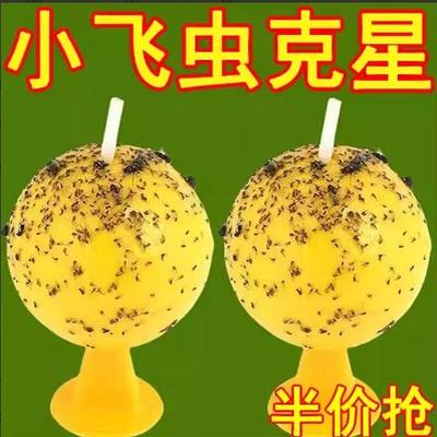 粘虫球果蝇诱捕器去除小飞虫