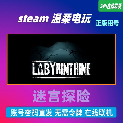 联机STEAM迷宫探险租号