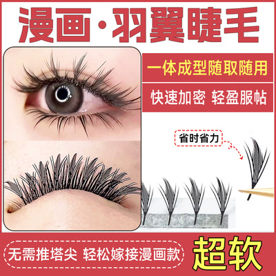 大漫画羽翼睫毛嫁接美睫店专用