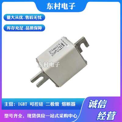 全新熔断器170M5214 170M5215 170M5216 170M5217 170M5218现货