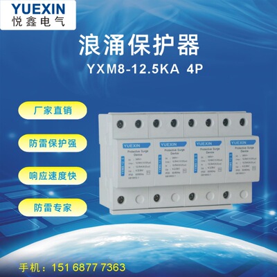 厂家直销SPD 防雷一级浪涌保护器4p12.5KA防雷浪涌保护器电涌保护