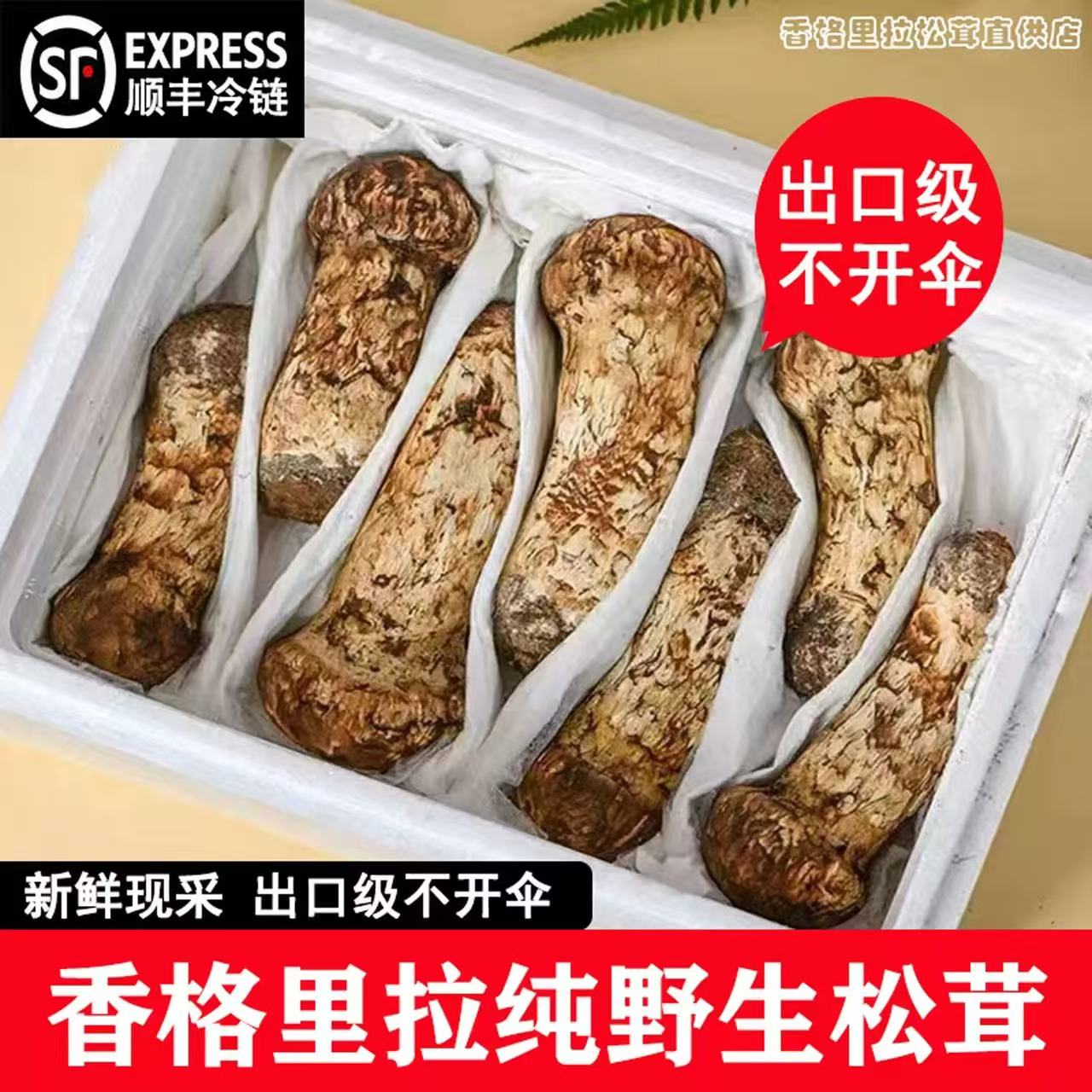 [现货]云南特产香格里拉野生7-9cm新鲜松茸菌1000g出口级山珍蘑菇