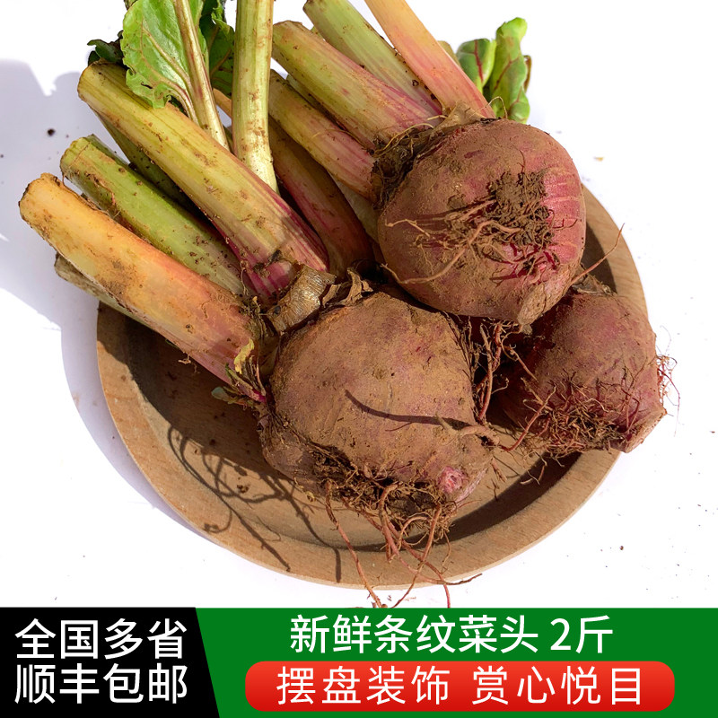 条纹甜菜头2斤 新鲜螺旋纹红菜根小菜头西餐摆盘 包邮