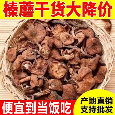 2024东北特产野生榛蘑丁干货小鸡炖蘑菇长白山臻蘑特级无根新货