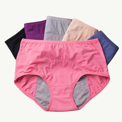 Leak Proof Menstrual Panties Physiological Pants