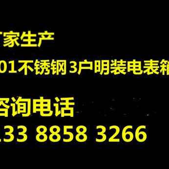 厂销新款3户不锈钢电表箱4046带空开位3表15回路户外防水锈电表品