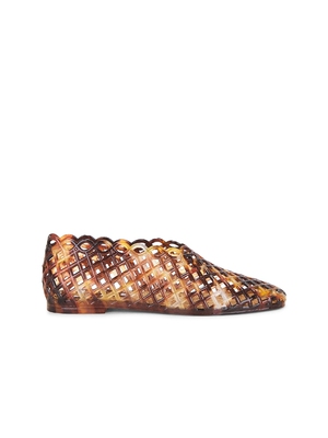 Steve Madden GROVE 平底鞋 revolve小众新款 棕色