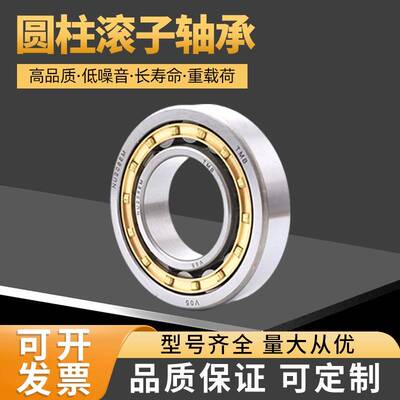 进口平替圆柱滚子轴承 RN202 203 204 205 206 207 208 209 210 2
