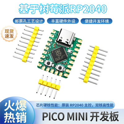 PicoMini电子元件原装开发板