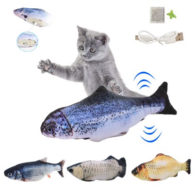 30CMelectronipayUSBhgs