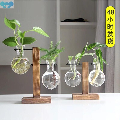 Terrarium Plant Vases Hydroponic Vintage Glass Flower Pot跨