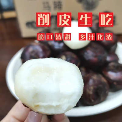 脆吉吉正宗广西桂林新鲜马蹄荸荠地栗农家自种脆甜水果爽口即食