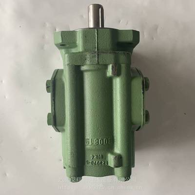 R45/160FL-Z-DB齿轮泵，德国瑞克梅尔Rickmeier原厂