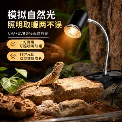 乌龟晒背恒温UVA/UVB灯